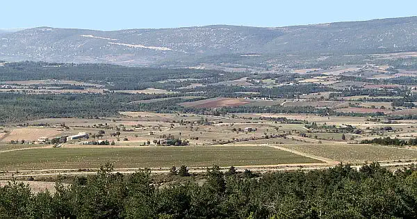 Plateau d'Albion - Sault - Provence